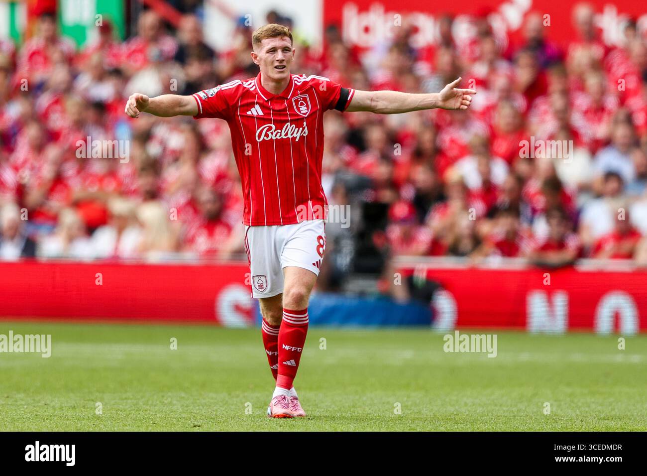 Elliot anderson forest august 2025 hi-res stock photography and images ...