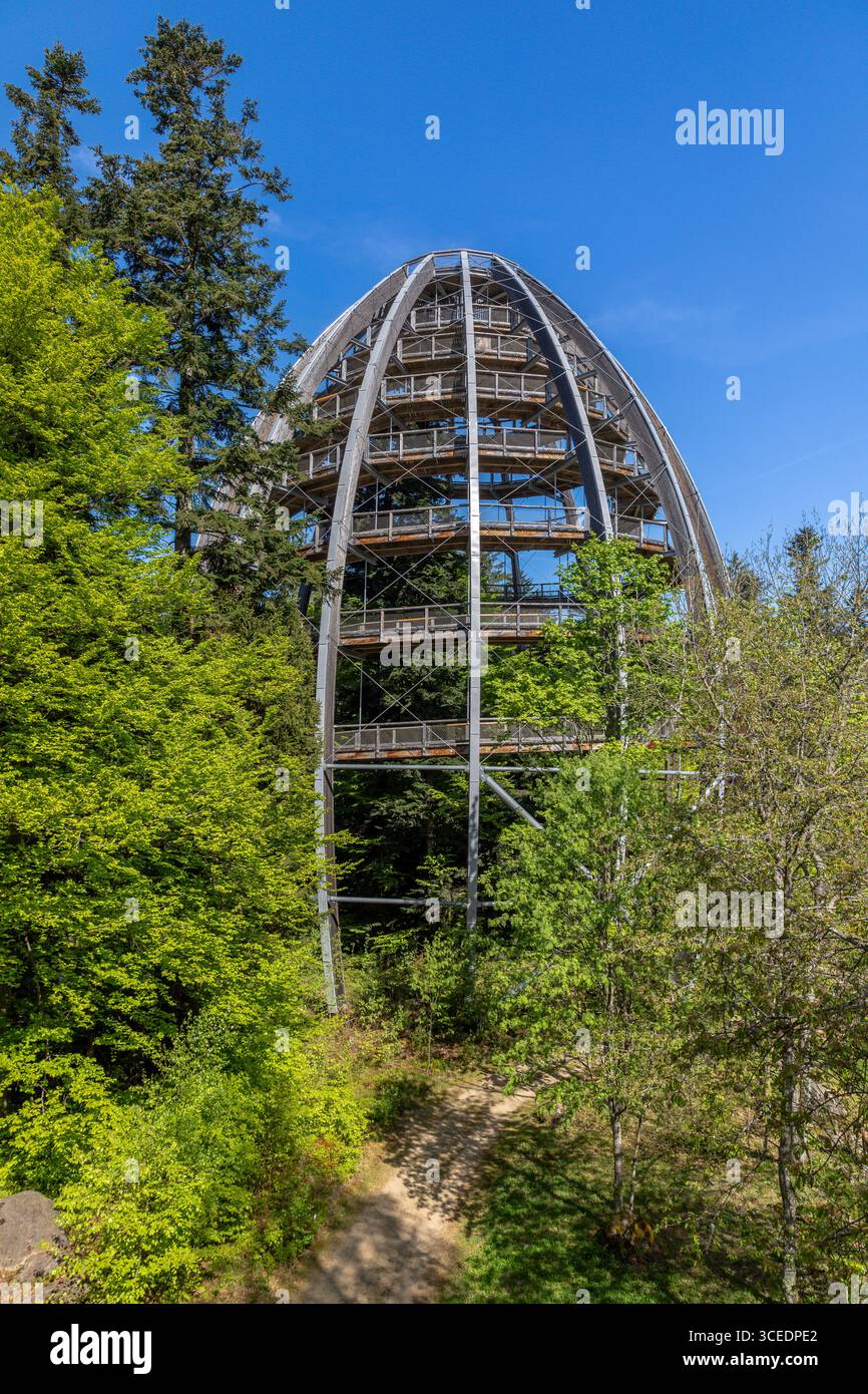 Observation tower at tree top walk in Bavarian Forest national park ...