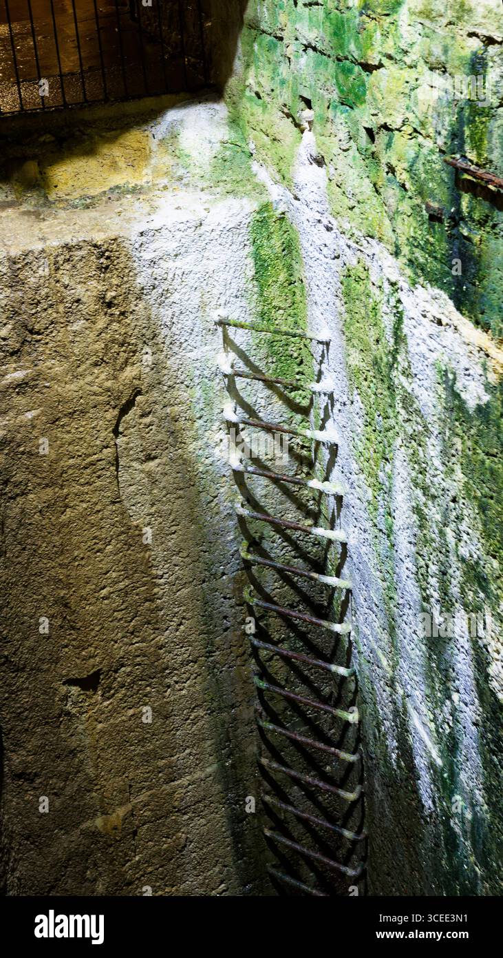 Verdun, France July 27th, 2025: Interior staircase and moss-covered ...