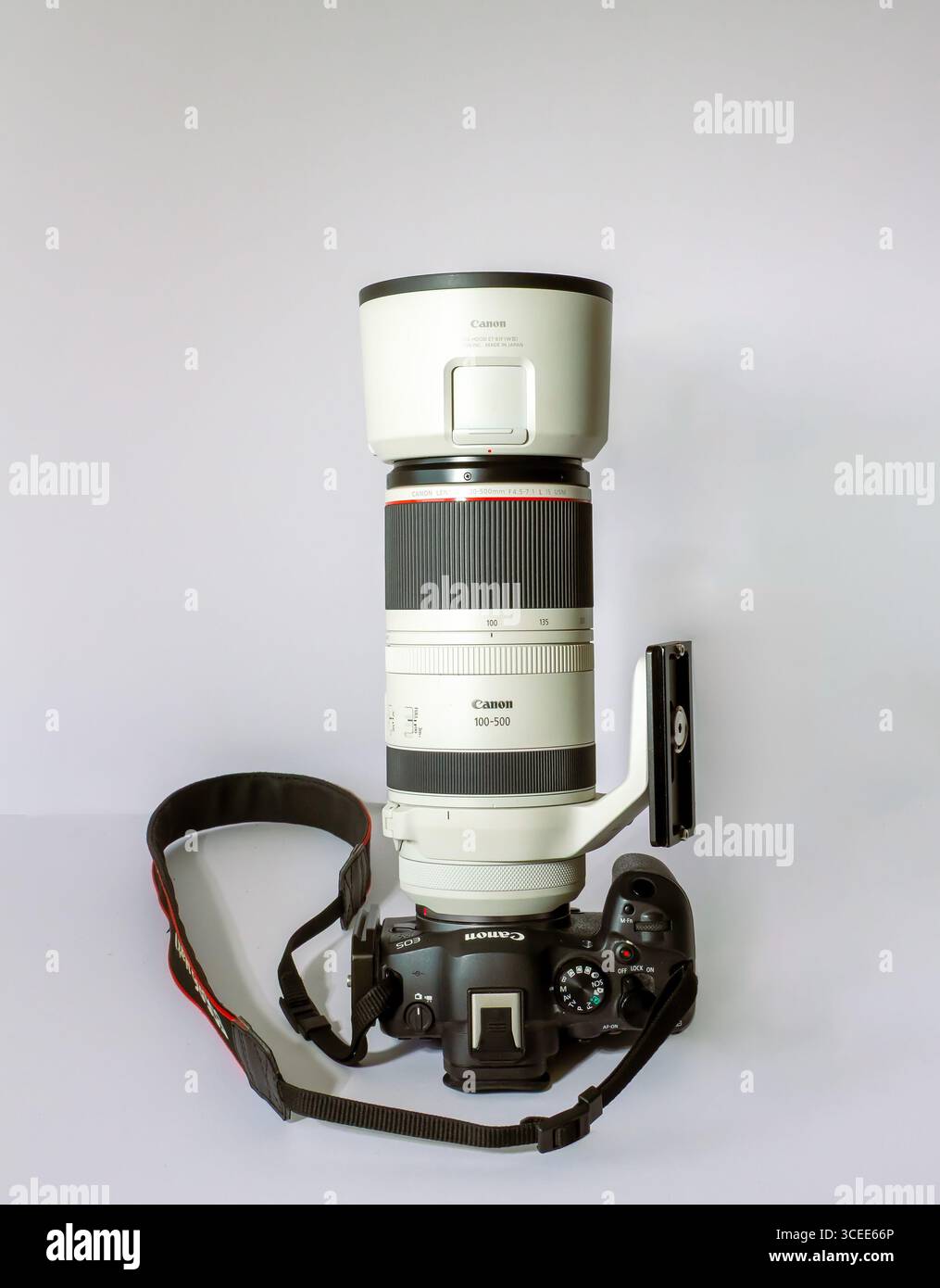 Canon EOS R6 Mark ii with the RF100-500mm F4.5-7.1 L IS USM Lens Stock ...