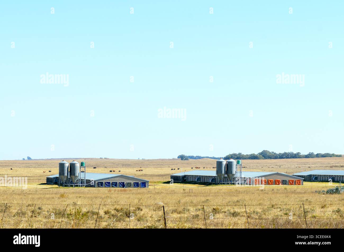 Senekal, South Africa - May 26, 2025: Chicken farming next to road R707 ...