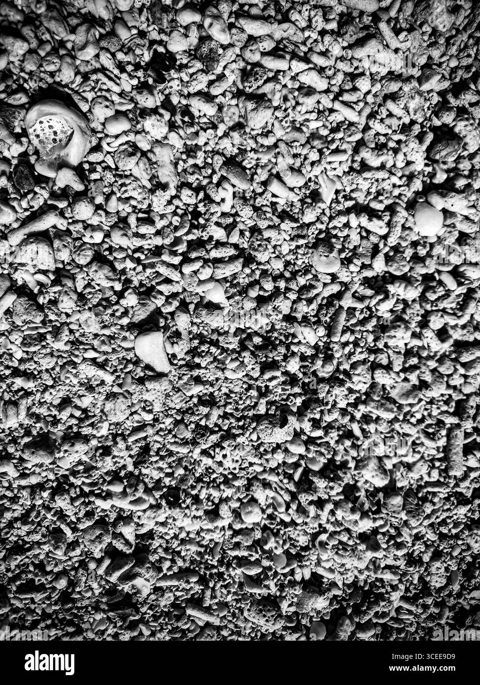 Beach resort in paradise Black and White Stock Photos & Images - Alamy