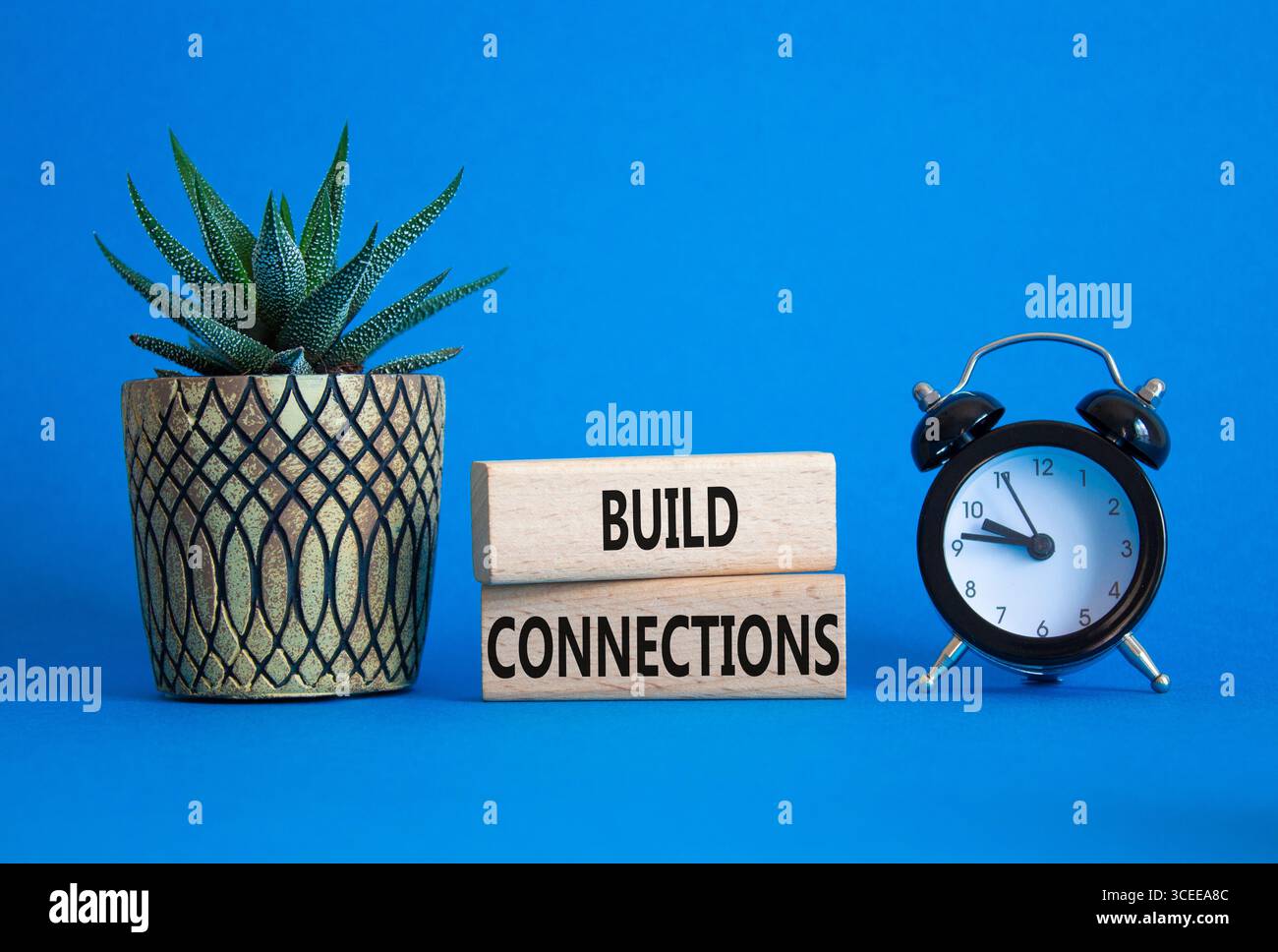 Build Connections symbol. Concept word Build Connections on wooden ...