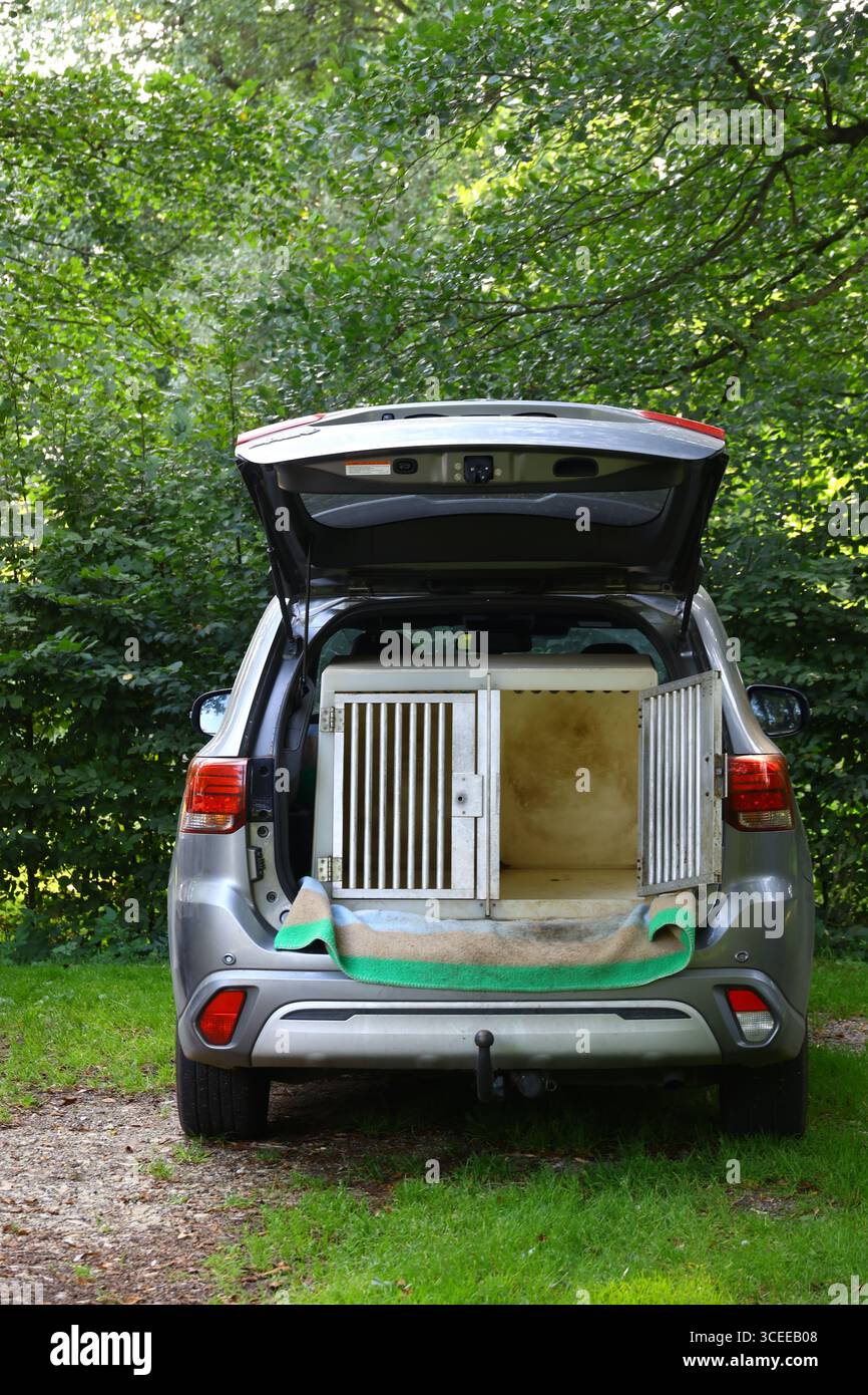 Open car trunk with a professional dog crate in nature Stock Photo - Alamy