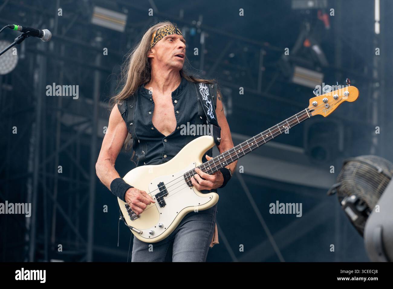 Ross the boss musician hi-res stock photography and images - Alamy