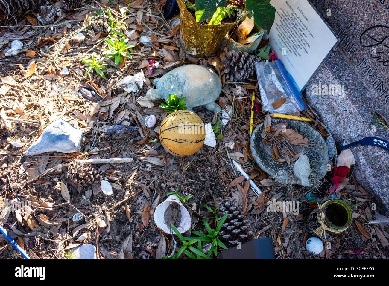 The gravesite of famous author, Pat Conroy, is at Saint Helena Memorial Gardens on Ernest Drive ...