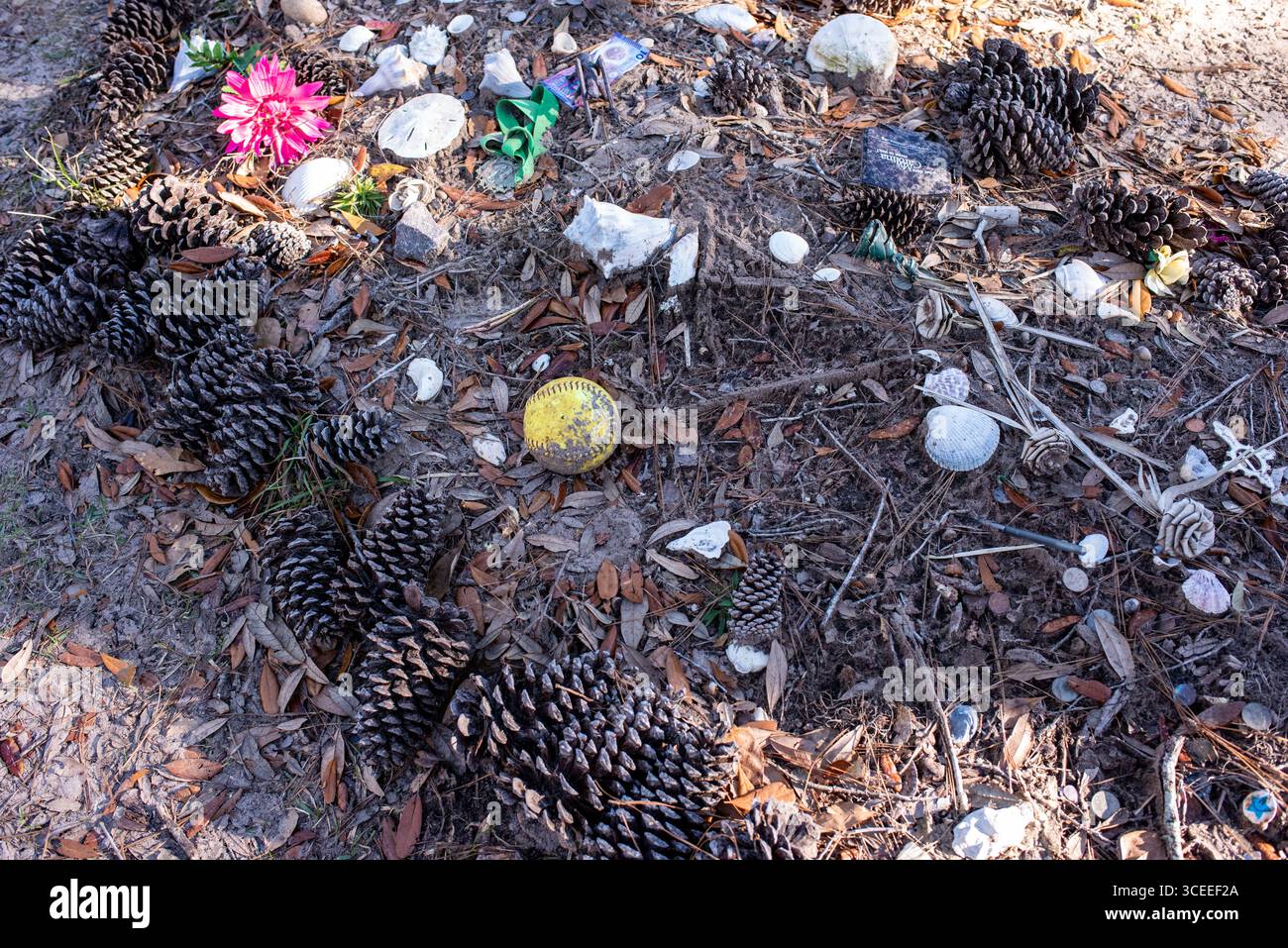 The gravesite of famous author, Pat Conroy, is at Saint Helena Memorial Gardens on Ernest Drive ...