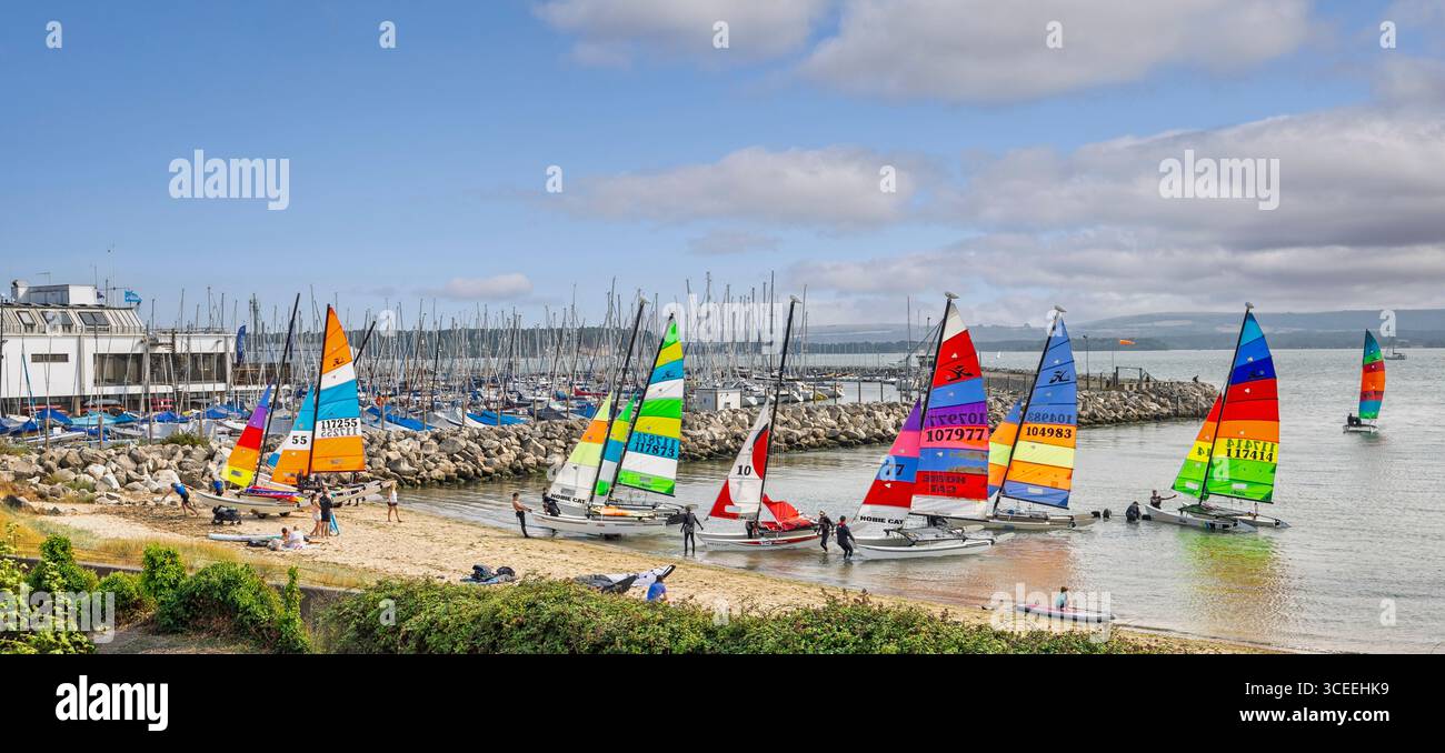 Large group of Hobie Cat catamarans with colourful sails coming ashore ...