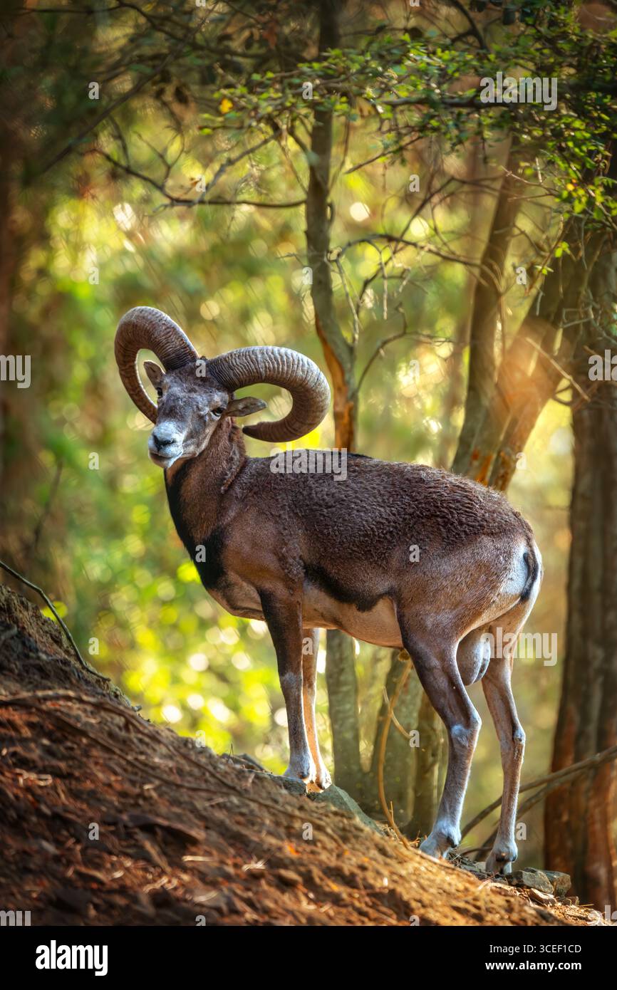 Agrin hi-res stock photography and images - Alamy