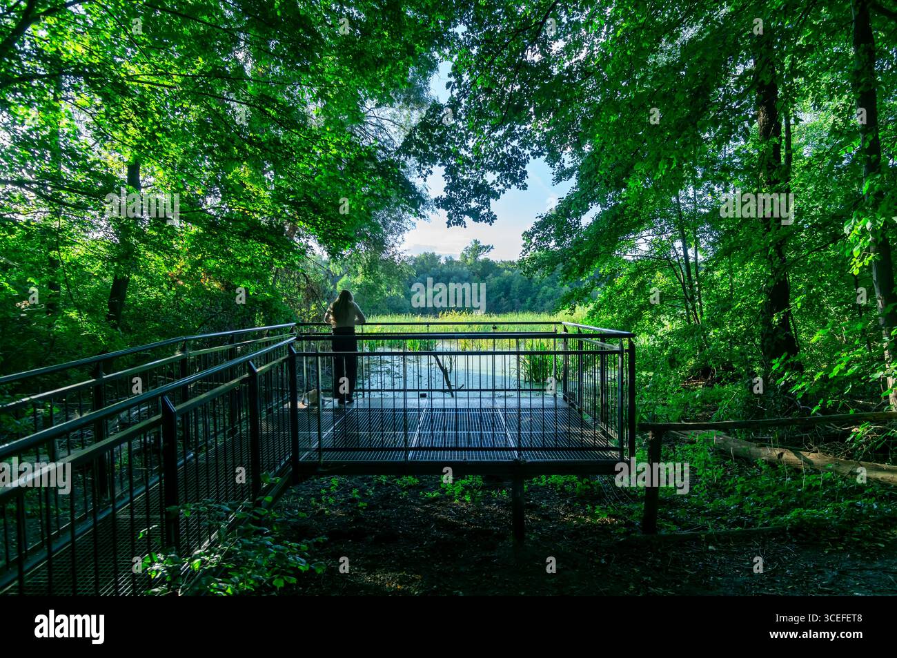 Woman on metal platform at Fauler See nature reserve in Berlin ...