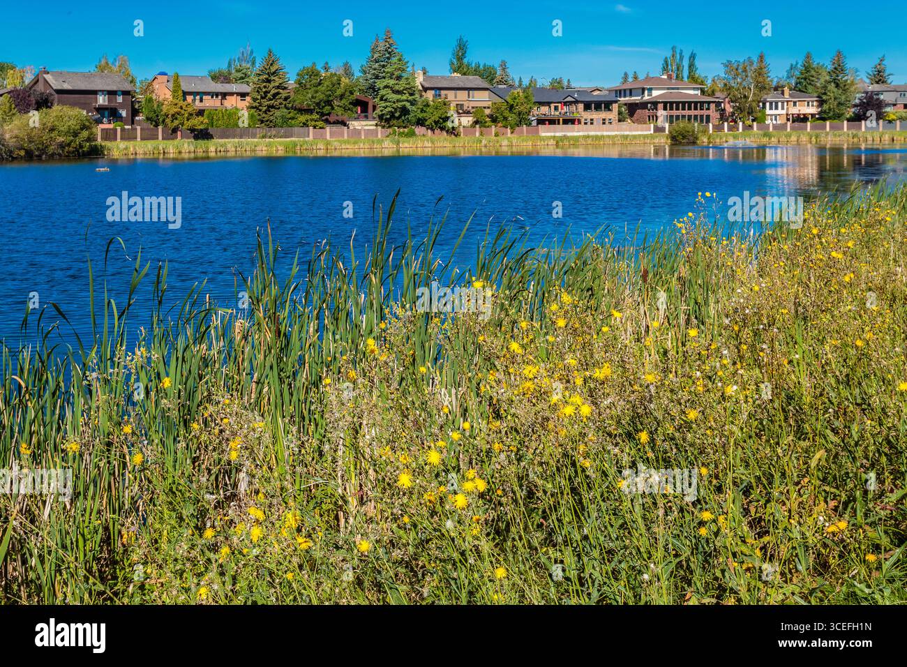 Lakeview Park is located in the Lakeview neighborhood of Saskatoon ...