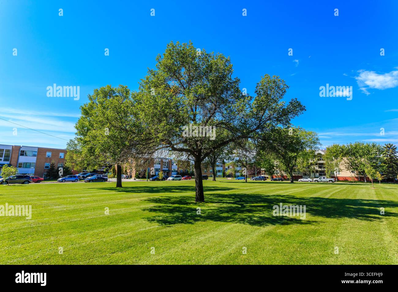 Latham Park is located in the Greystone Heights neighborhood of ...