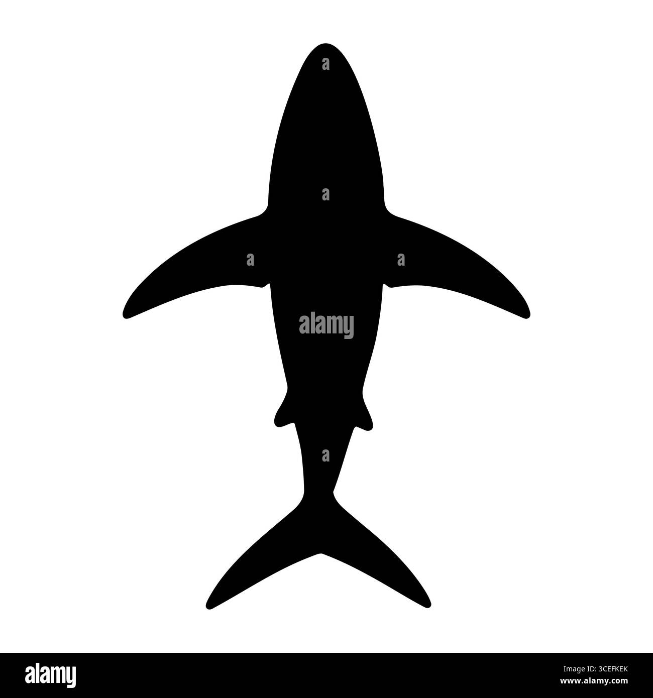 Bold shark design Stock Vector Images - Alamy