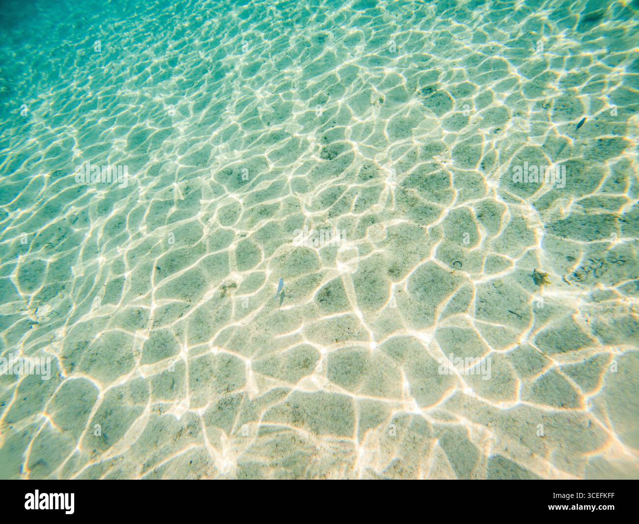 Underwater scene featuring sand hi-res stock photography and images - Alamy