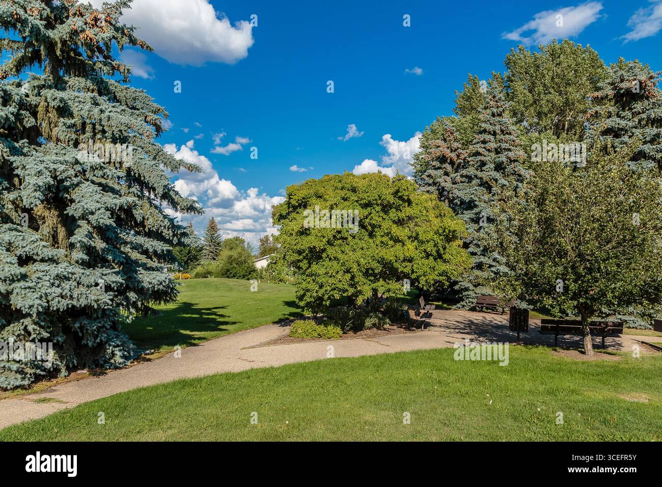 Marlbourough Park is located in the Massey Place neighborhood of ...