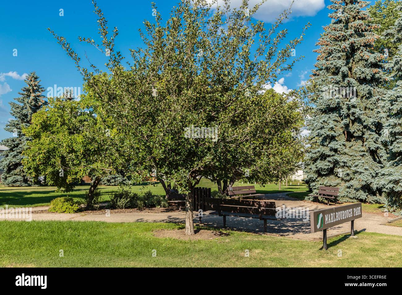 Marlbourough Park is located in the Massey Place neighborhood of ...