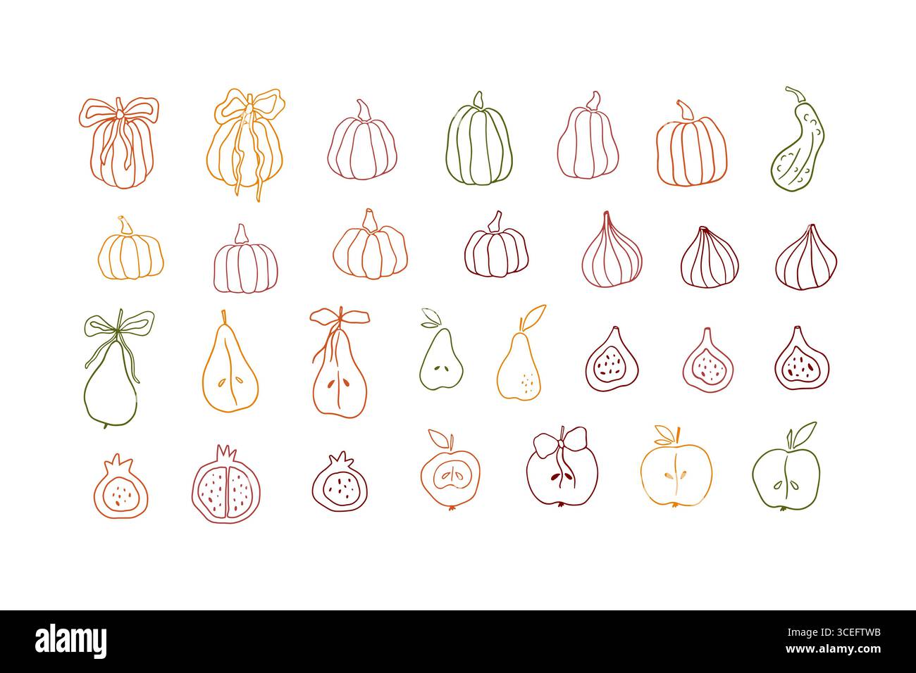 Thanksgiving fruit in doodle Stock Vector Images - Alamy