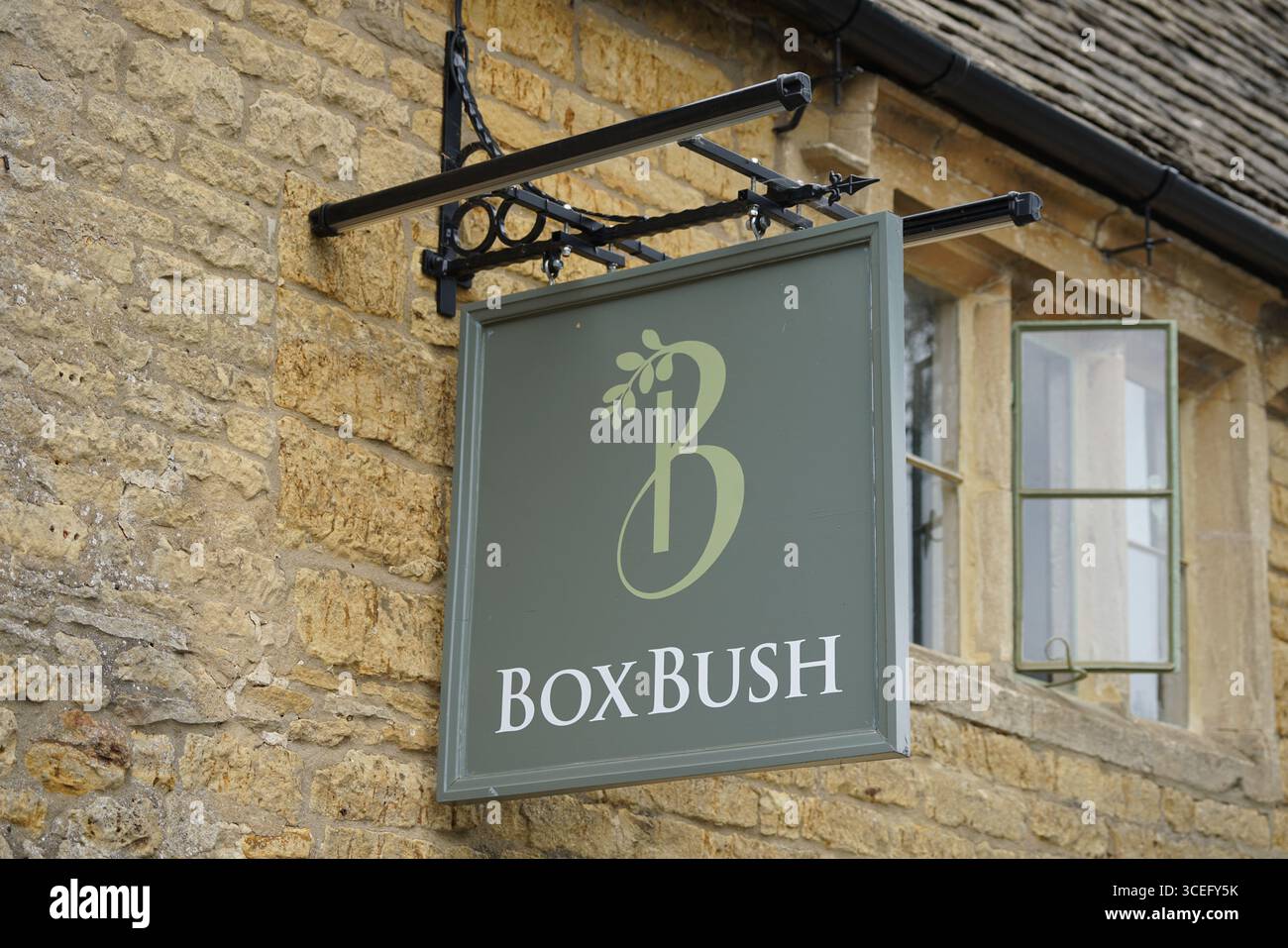 Elegant Wooden Sign for Box Bush Against Rustic Stone Background ...
