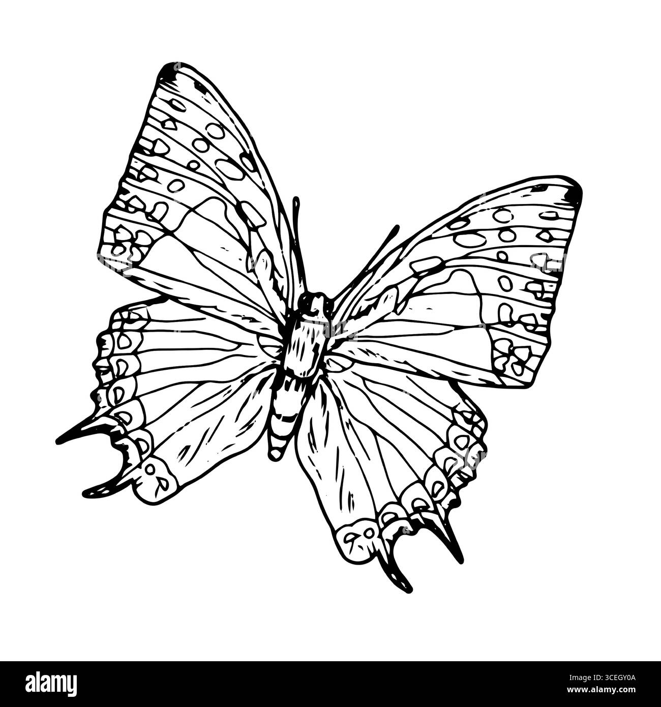 The wings o Black and White Stock Photos & Images - Alamy