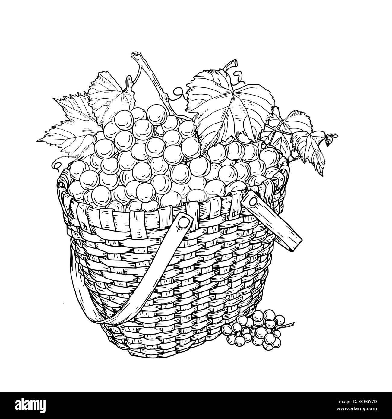 Sweet basket vector vectors Black and White Stock Photos & Images - Alamy
