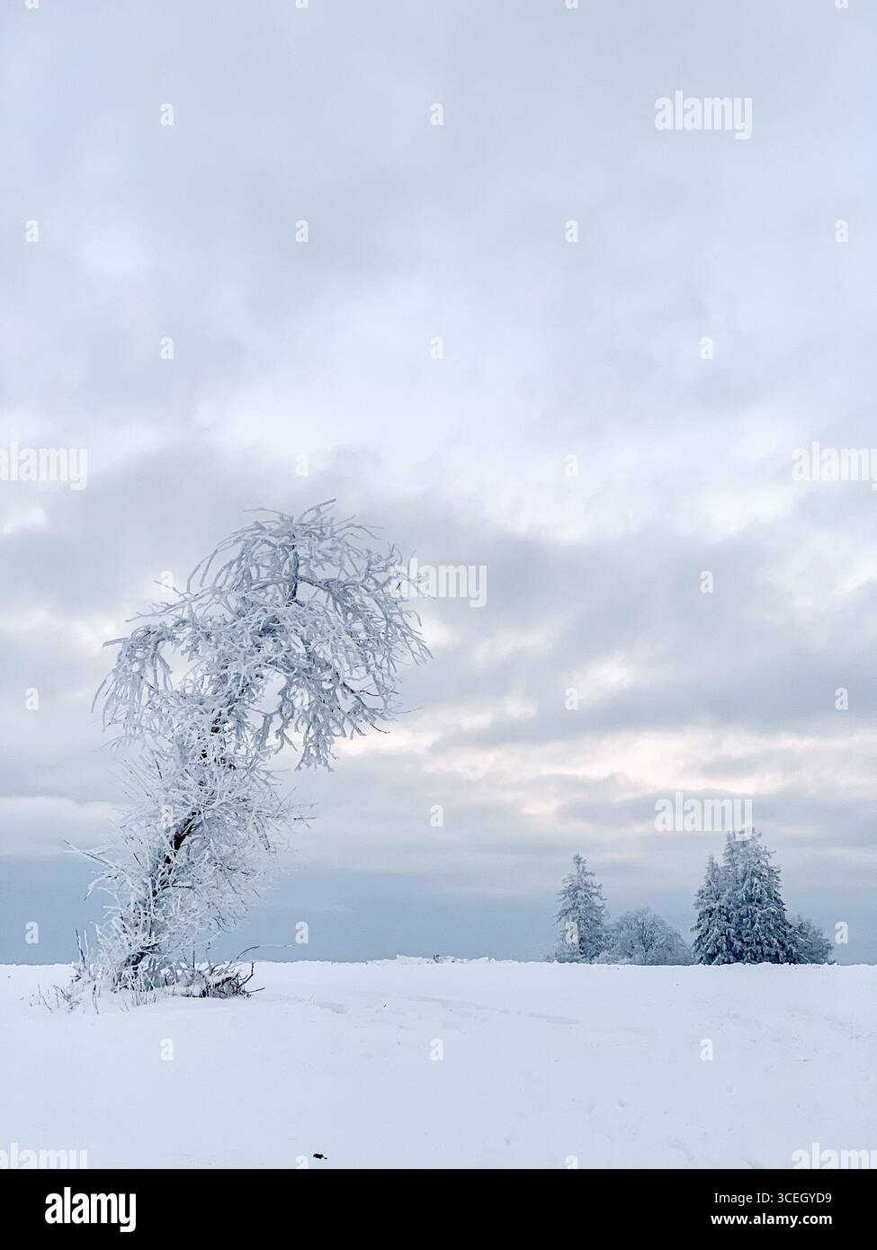 Serene winter scene featuring gentle hi-res stock photography and ...