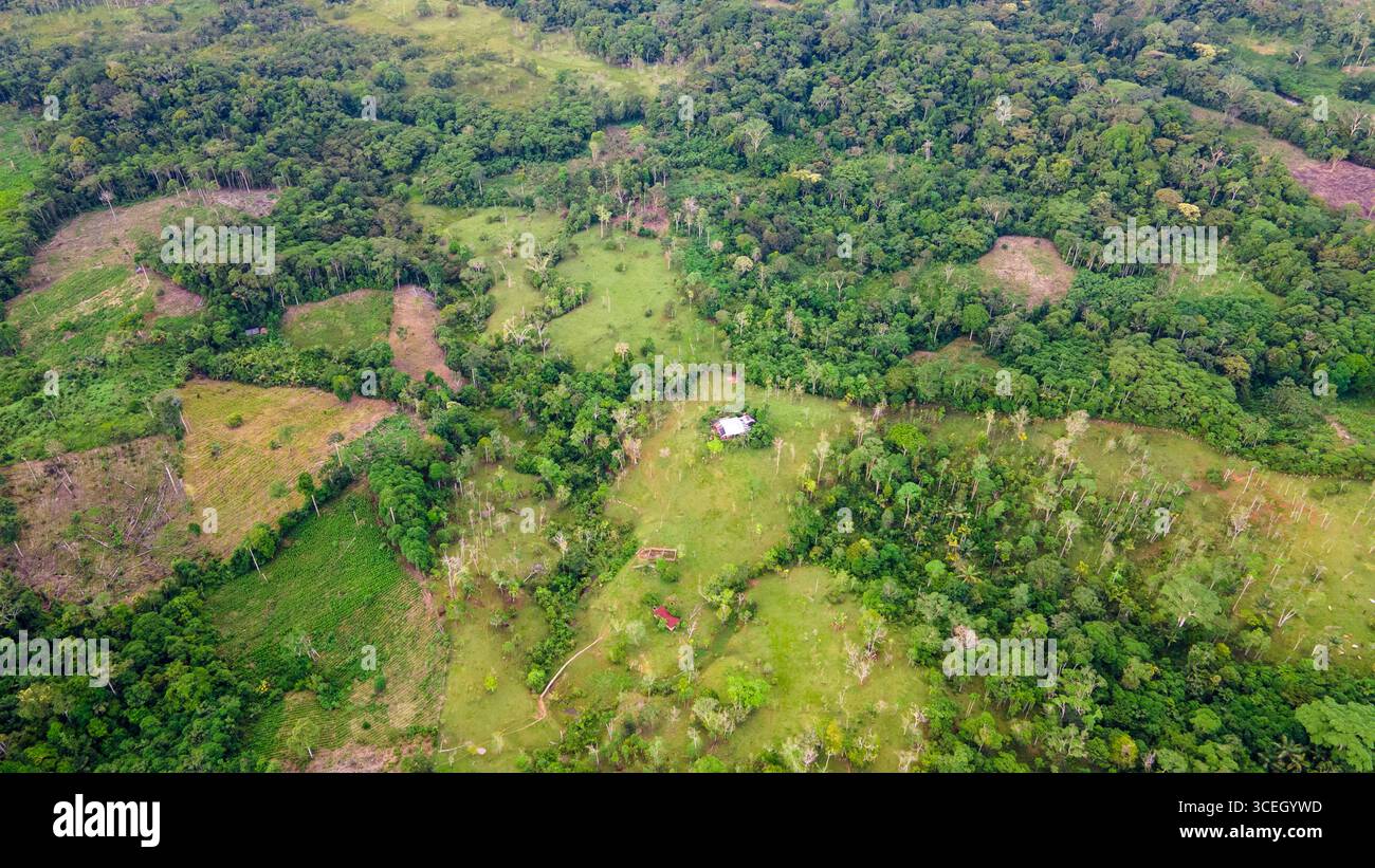 Stunning aerial photograph showcasing the vibrant landscapes of ...