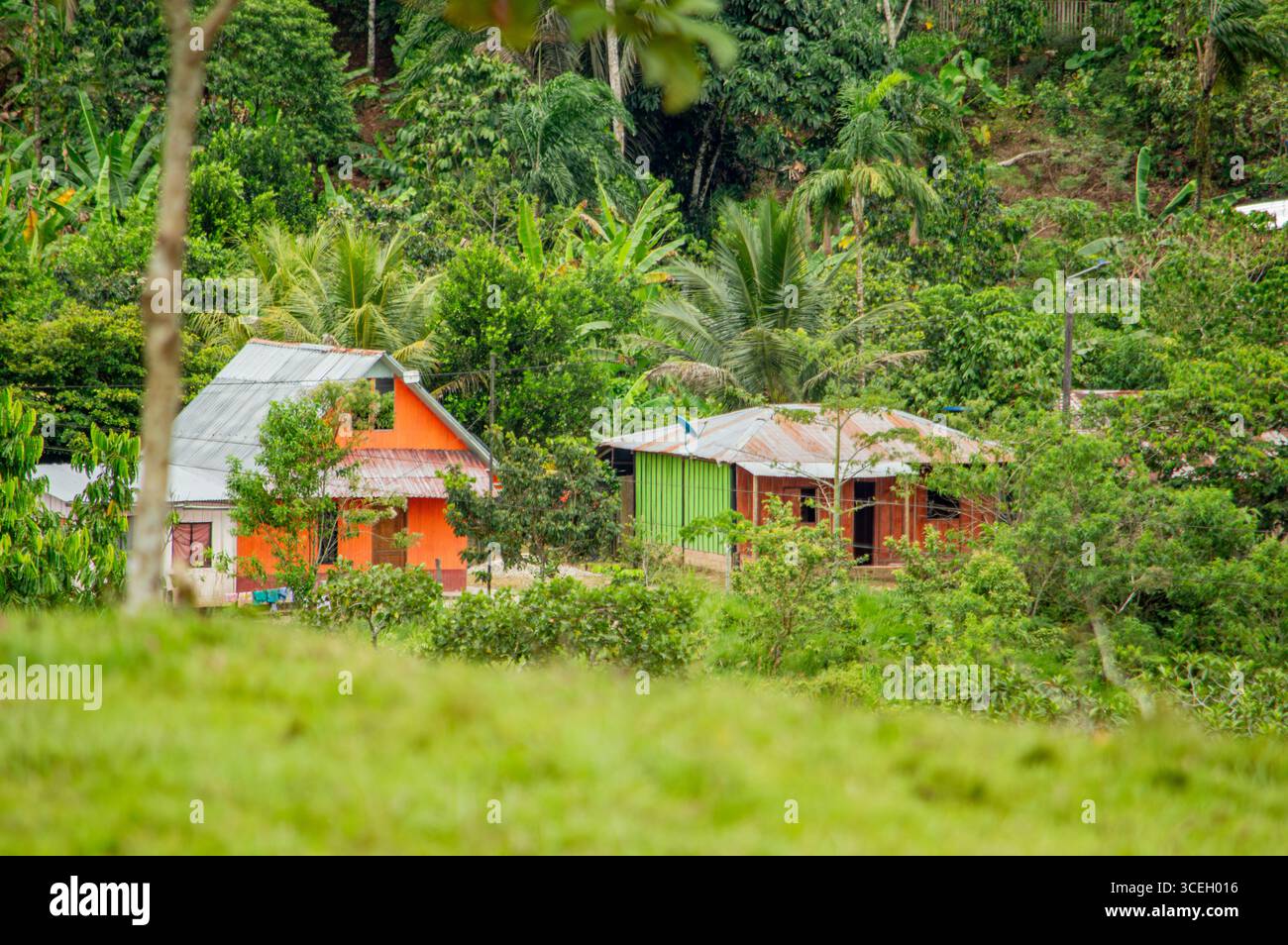 A scenic view of colorful houses surrounded by lush greenery in ...