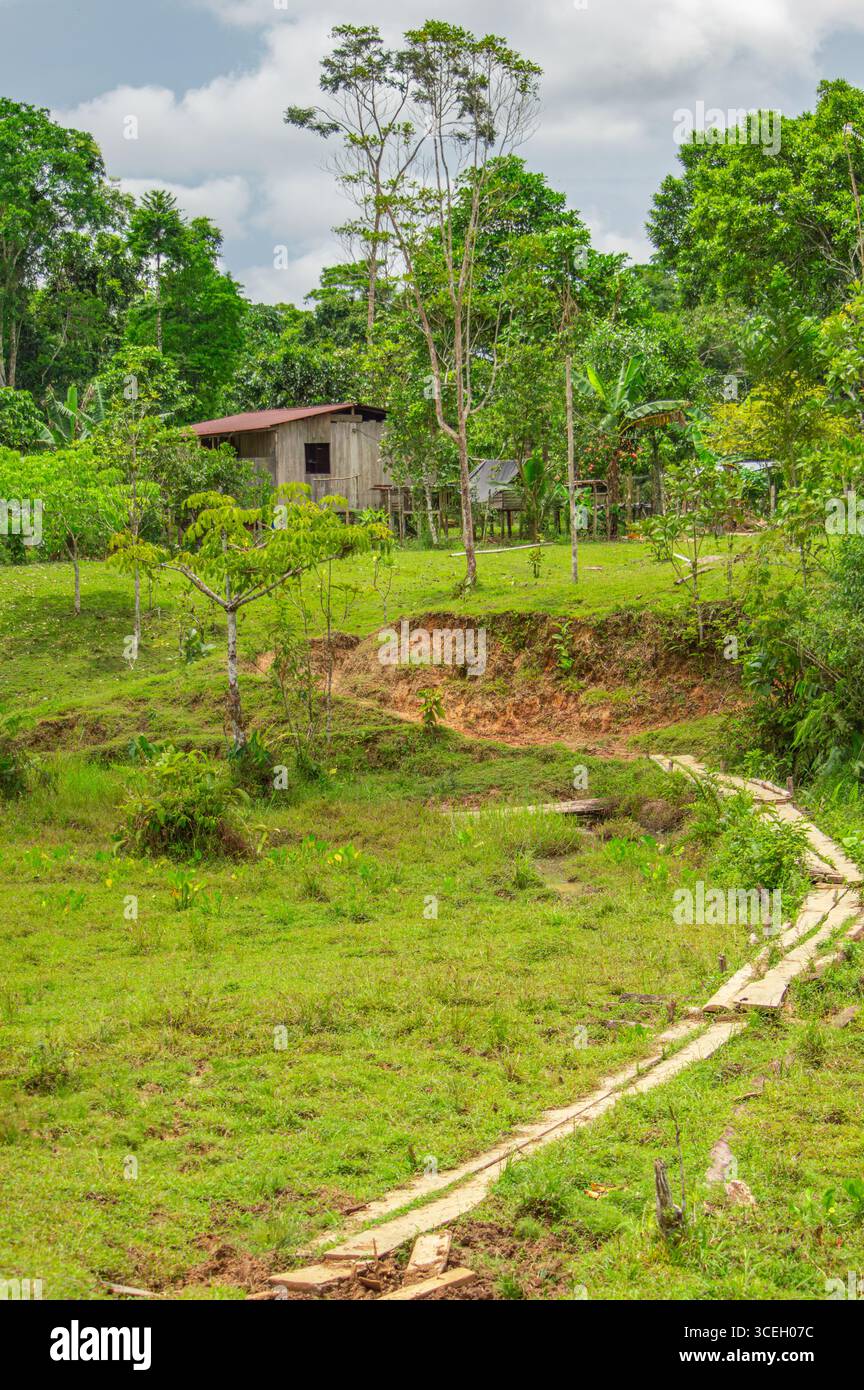 Scenic view of a rural area in Putumayo, Colombia, featuring lush ...