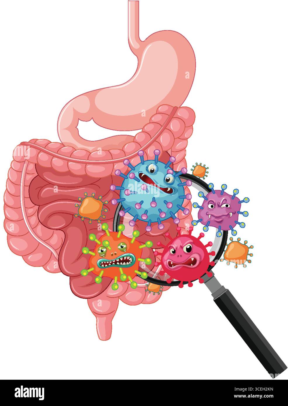 Vector illustration of human digestive system with cartoon bacteria ...