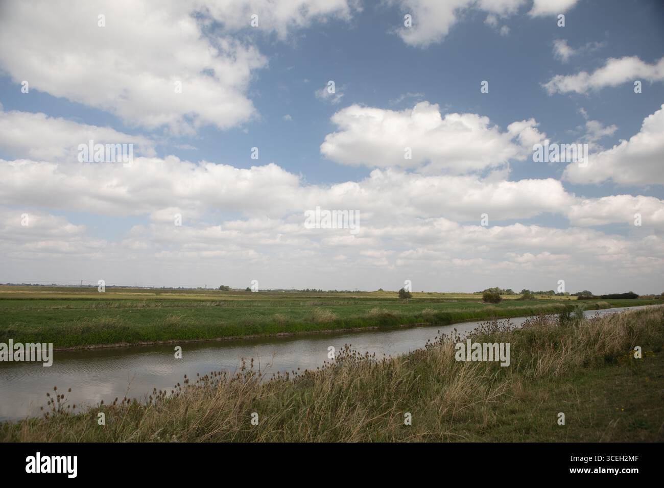New Bedford River, Ouse Washes, Sutton Gault Stock Photo - Alamy