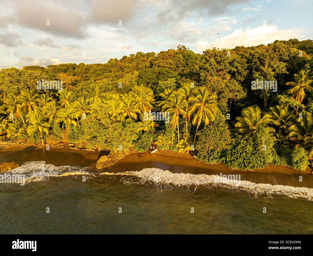 Aerial view of the beach where the verdant jungle meets the dark sands ...