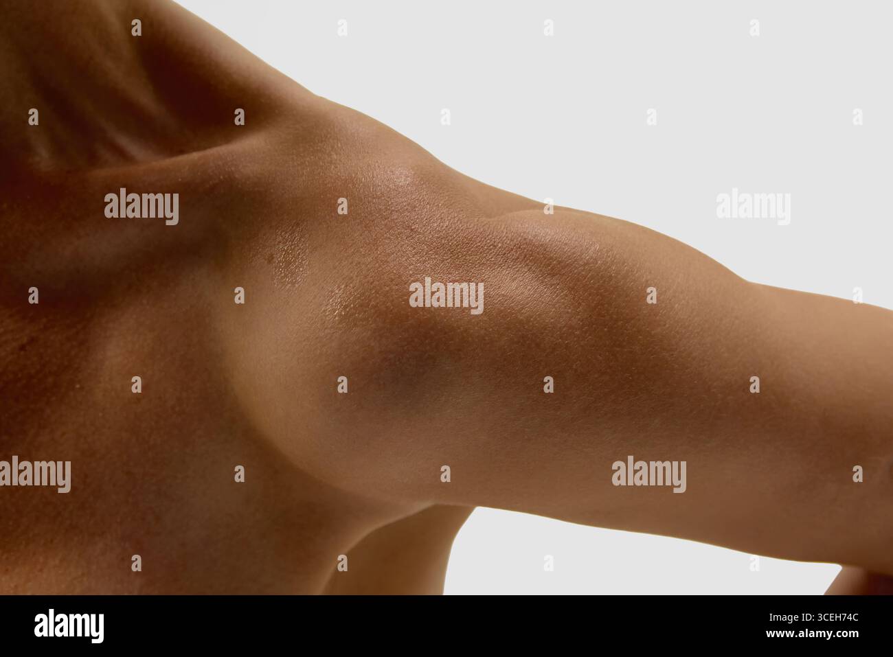 Female shoulder anatomy closeup with natural skin tone Stock Photo - Alamy