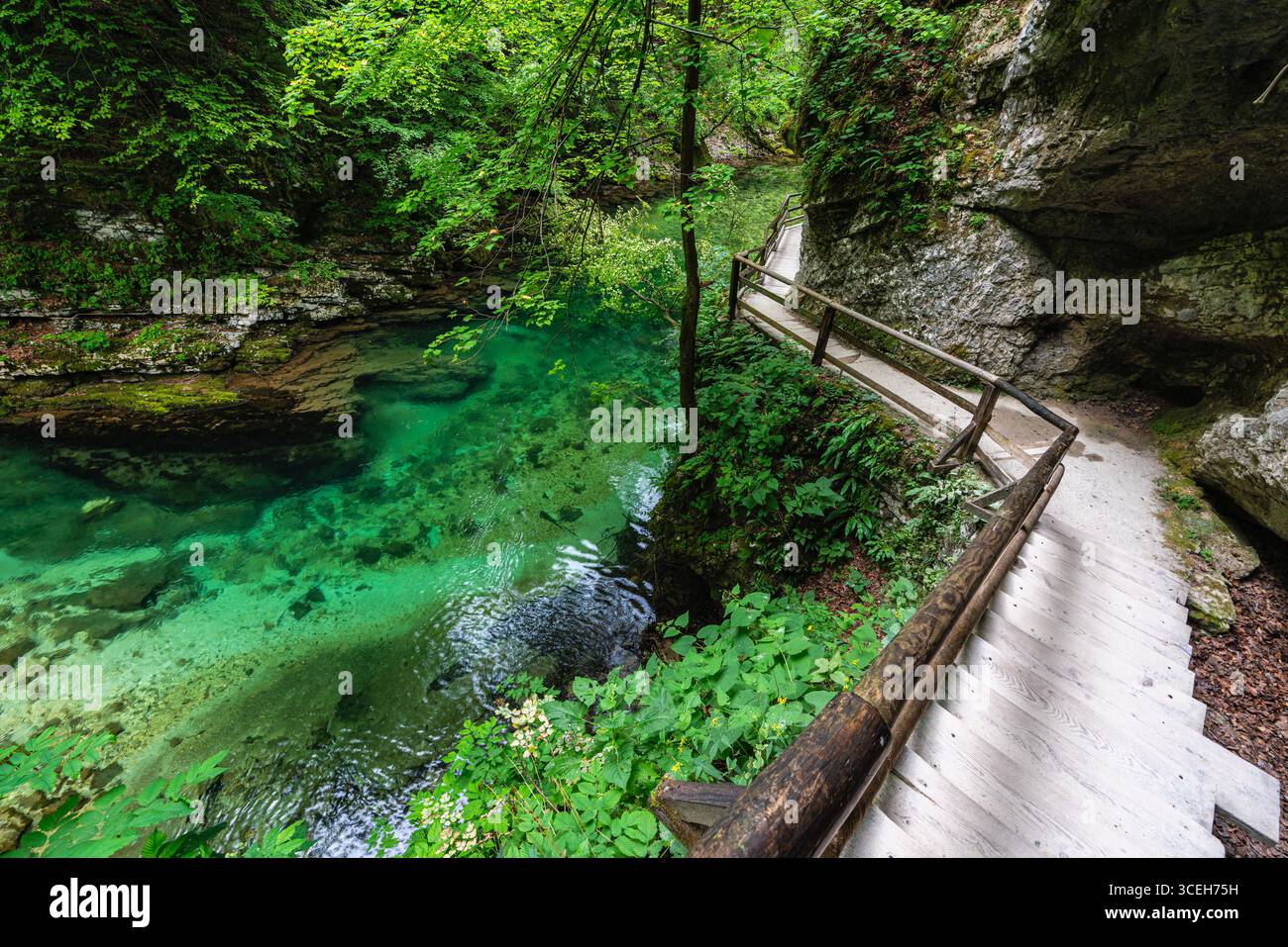 Scenic sight in the famous Vintgar Gorge, in Triglav National Park ...