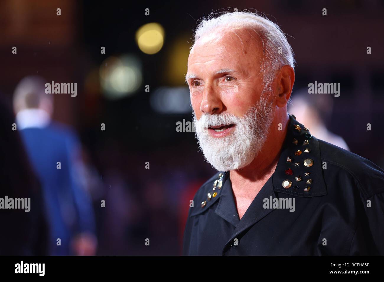 BiH, Sarajevo, 170825. Red carpet on the third day of the 31. Sarajevo ...