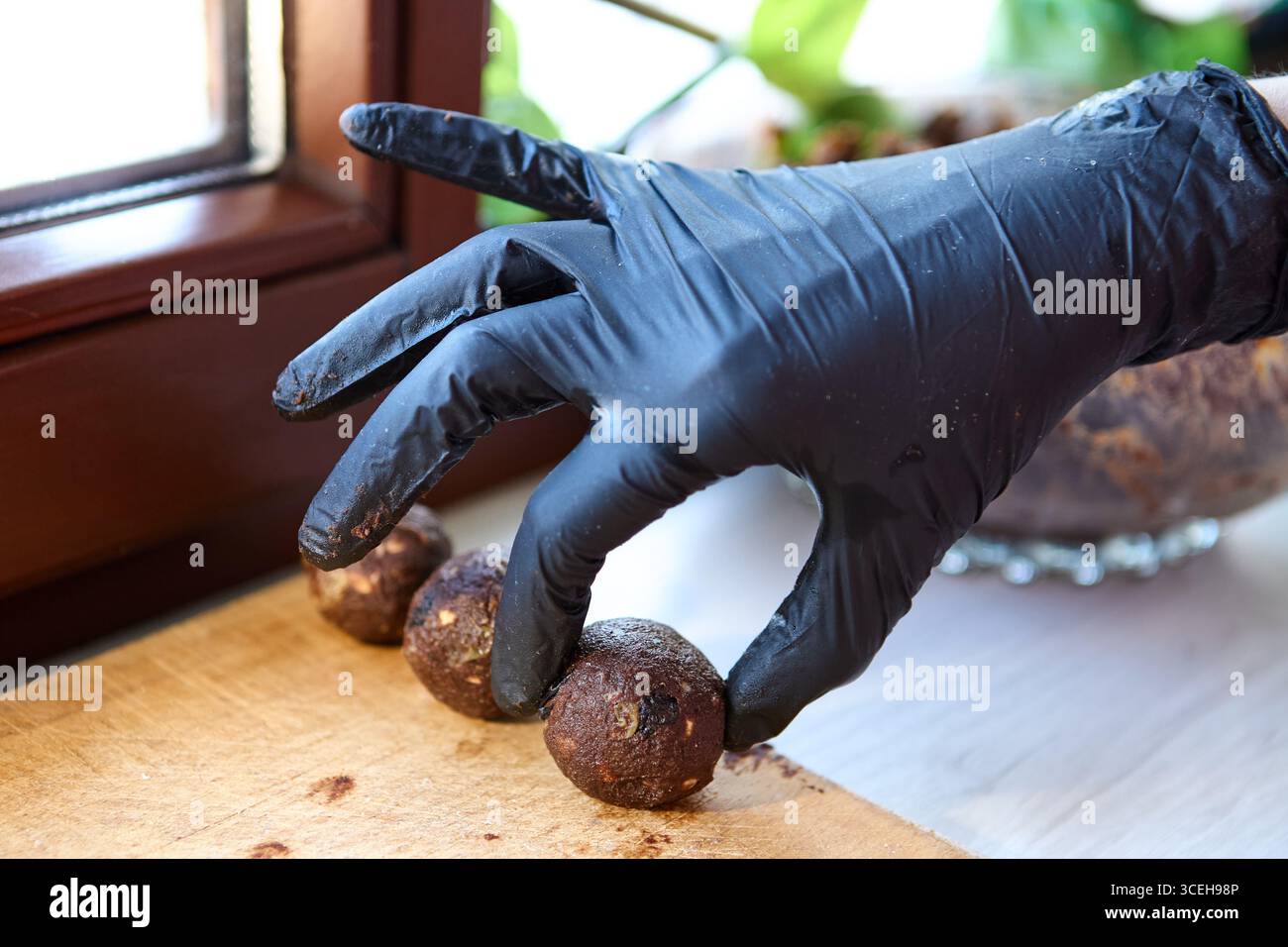 Vegan sweet ball made from dates, nuts, raisins and cocoa presented in ...