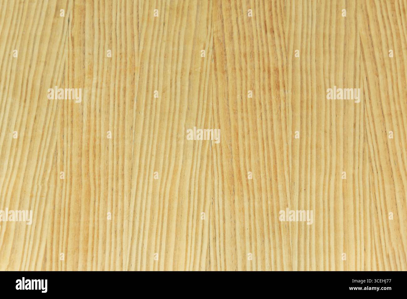 Aged pine wood background with pronounced grain and visible knots ...