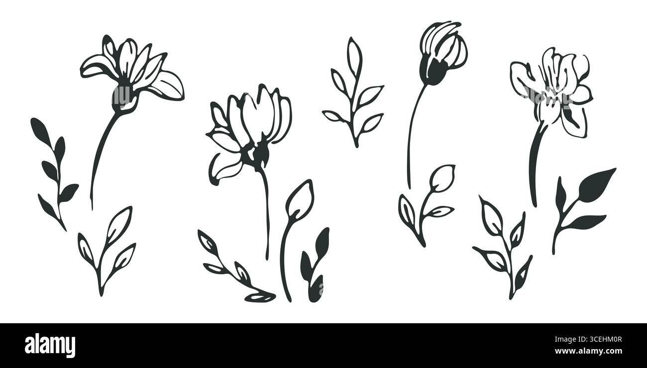 Hand drawn decor ink Flower leaf shape set. Outline floral symbol, bold ...