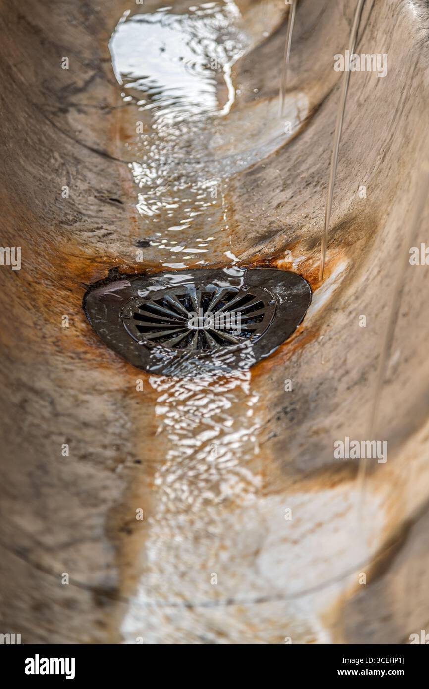 Found in florence hi-res stock photography and images - Alamy