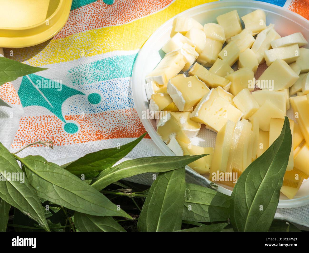 Colorful tablecloth covering a picnic table features a plastic plate ...