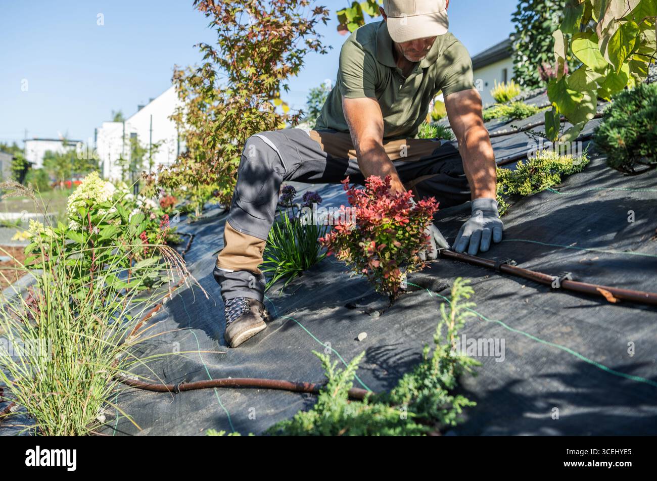 A gardener works on an urban rooftop garden, carefully setting up a ...