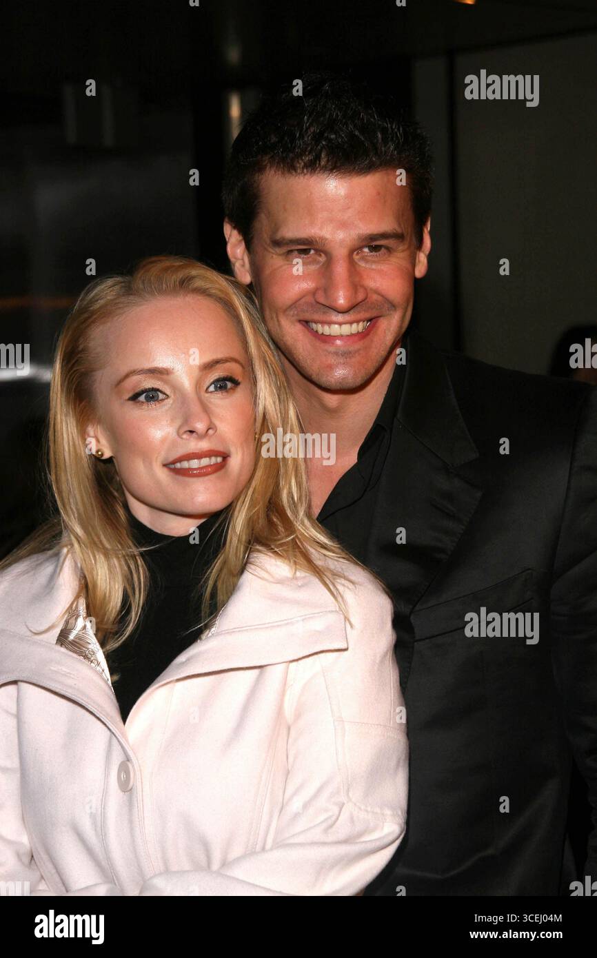 David Boreanaz and Jamie Bergman at the Prada private screening of ...