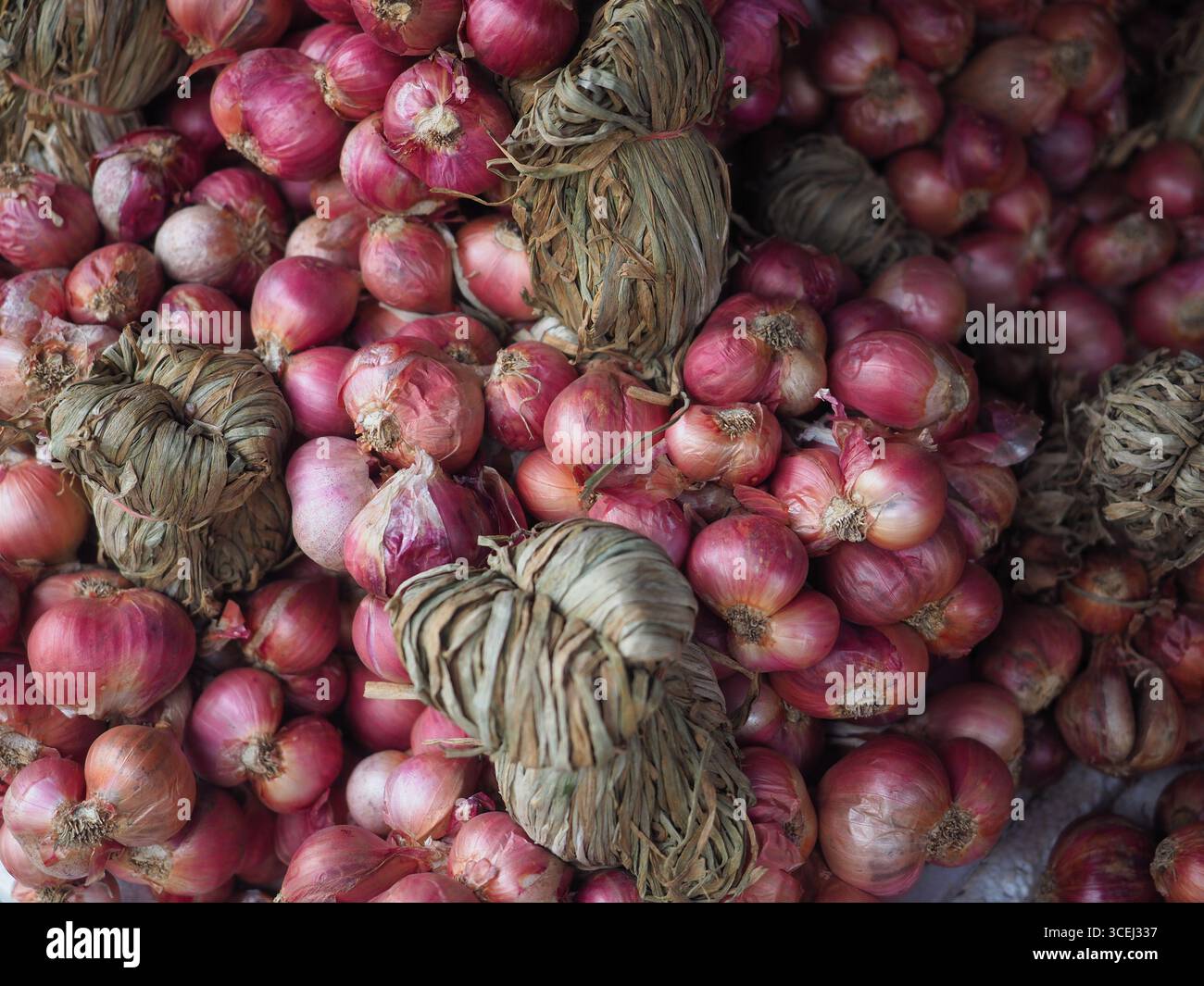 Fresh vegetables sold wholesale at cheap prices in the market Stock ...