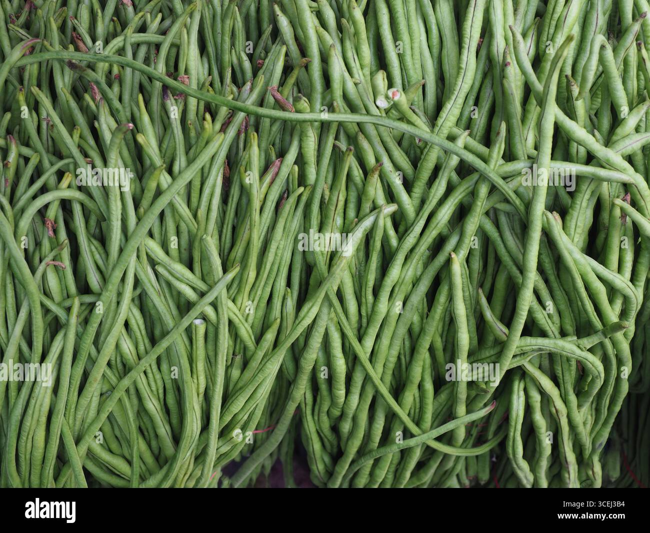 Fresh vegetables sold wholesale at cheap prices in the market Stock ...