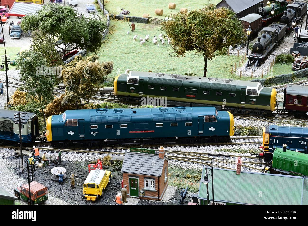 Two model Class 55 Deltic models on a model railway Stock Photo - Alamy