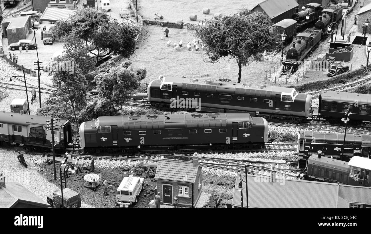 Two model Class 55 Deltic models on a model railway Stock Photo - Alamy