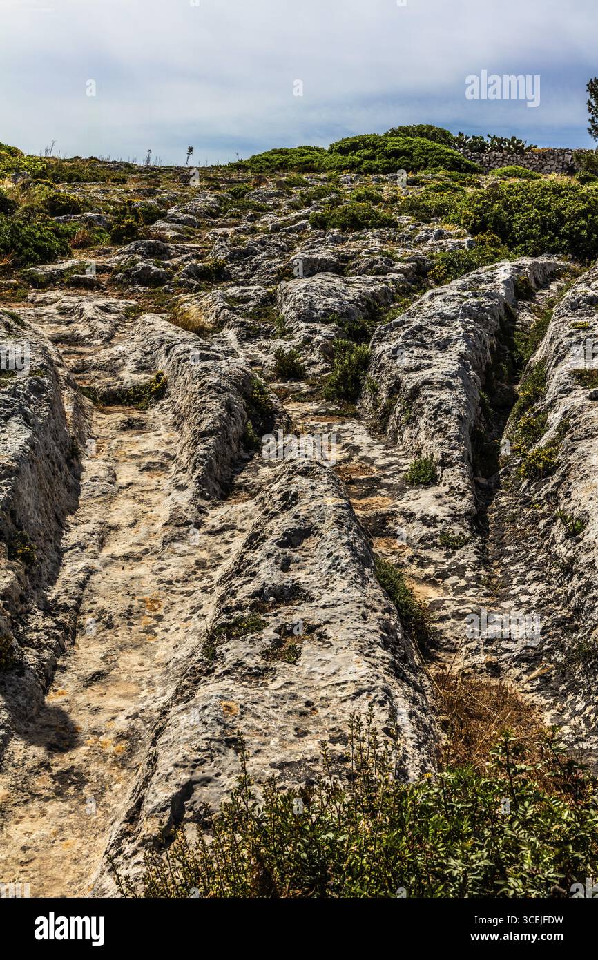 Accumulation of prehistoric grinding marks, also known as cart ruts, of ...