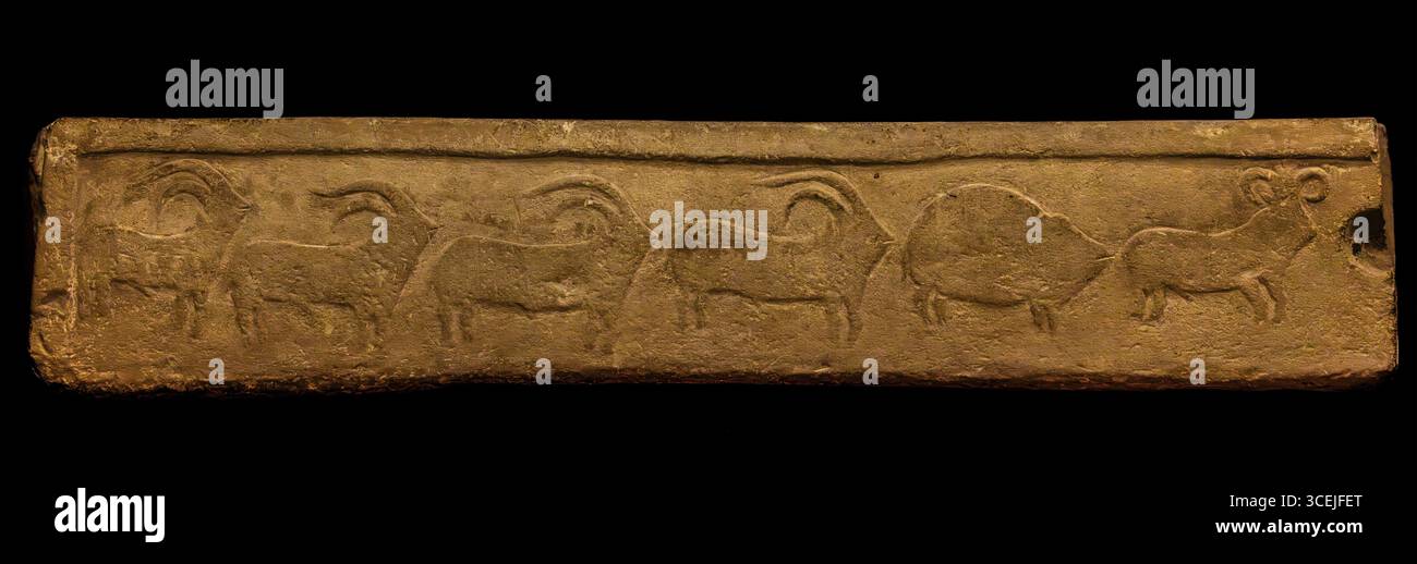 Animal depiction, Megalithic Temple of Tarxien, National Museum of ...
