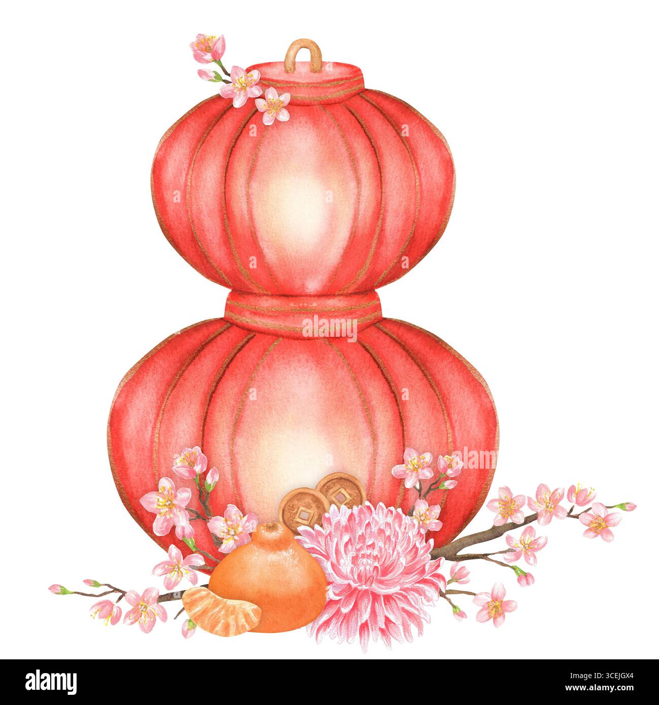 Watercolor red double lantern, Sakura branchlets, pink chrysanthemum ...