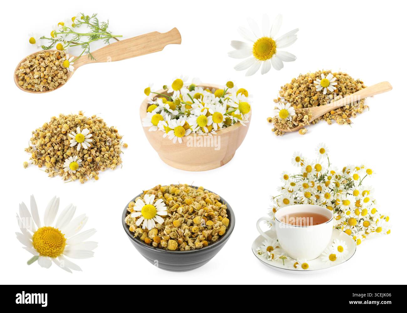 Dried and fresh chamomile flowers and herbal tea isolated on white, set ...