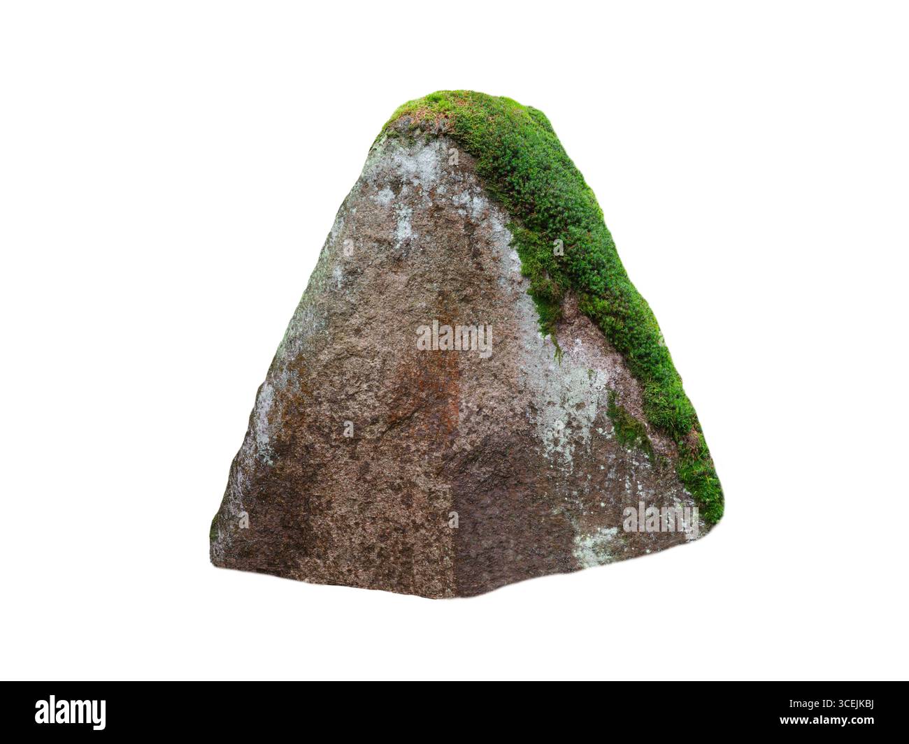 Damp moss Cut Out Stock Images & Pictures - Alamy